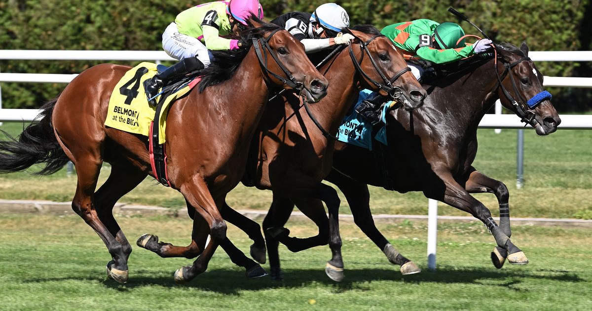 Nessuna Pagina survives foul claims, takes Spectacular Bid by nose