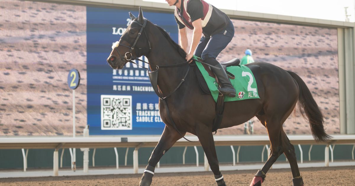 Royal Ascot 2026: Horse-by-horse guide - Ascot Gold Cup
