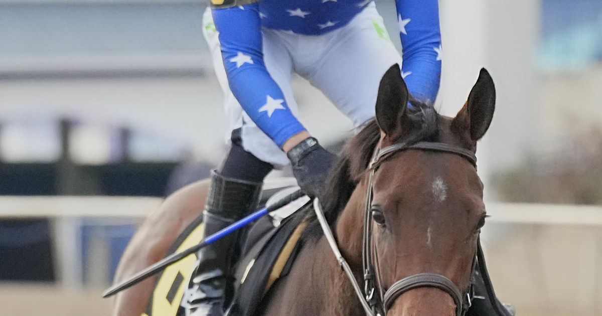 Looking to get back on track, Just Philtored returns to dirt in Miss Disco