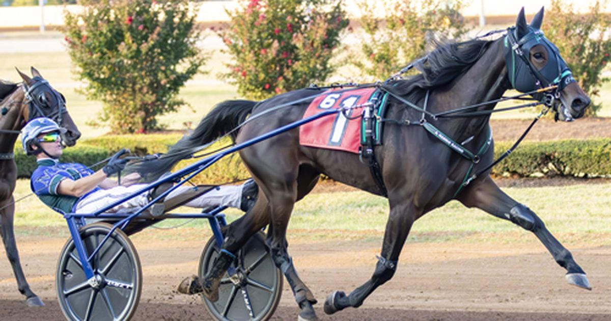 Red Mile: Yo Tillie wins Kentucky Championship Series final to remain ...
