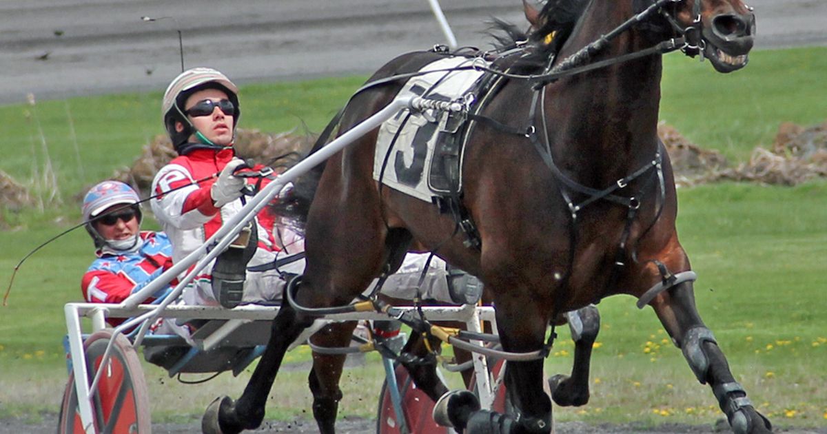 Harness: Brandon Parker battling through the abyss to regain his life