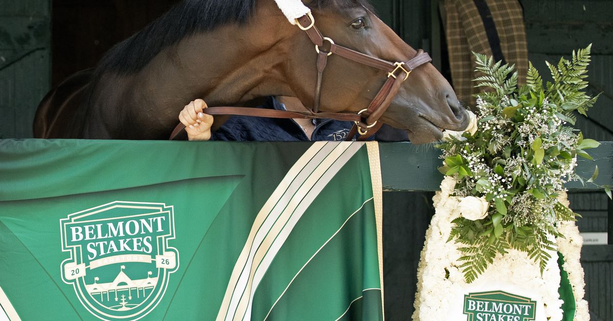 Golden Tempo, sidelined by infection, will miss Jim Dandy Stakes