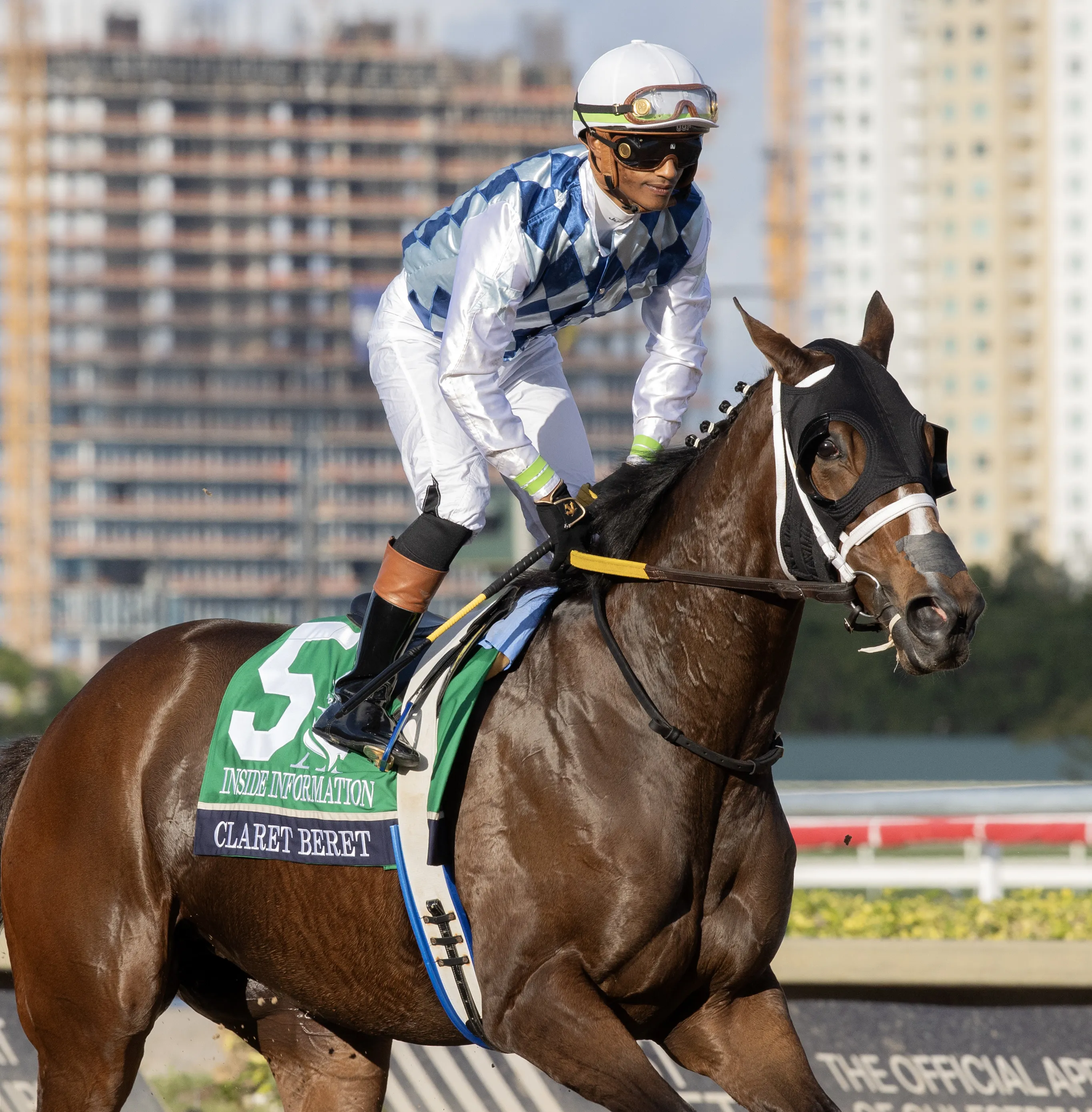 Grade 1 winner Claret Beret dies from possible cardiac event following ...