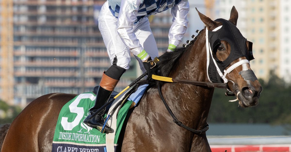 Grade 1 winner Claret Beret dies from possible cardiac event following ...