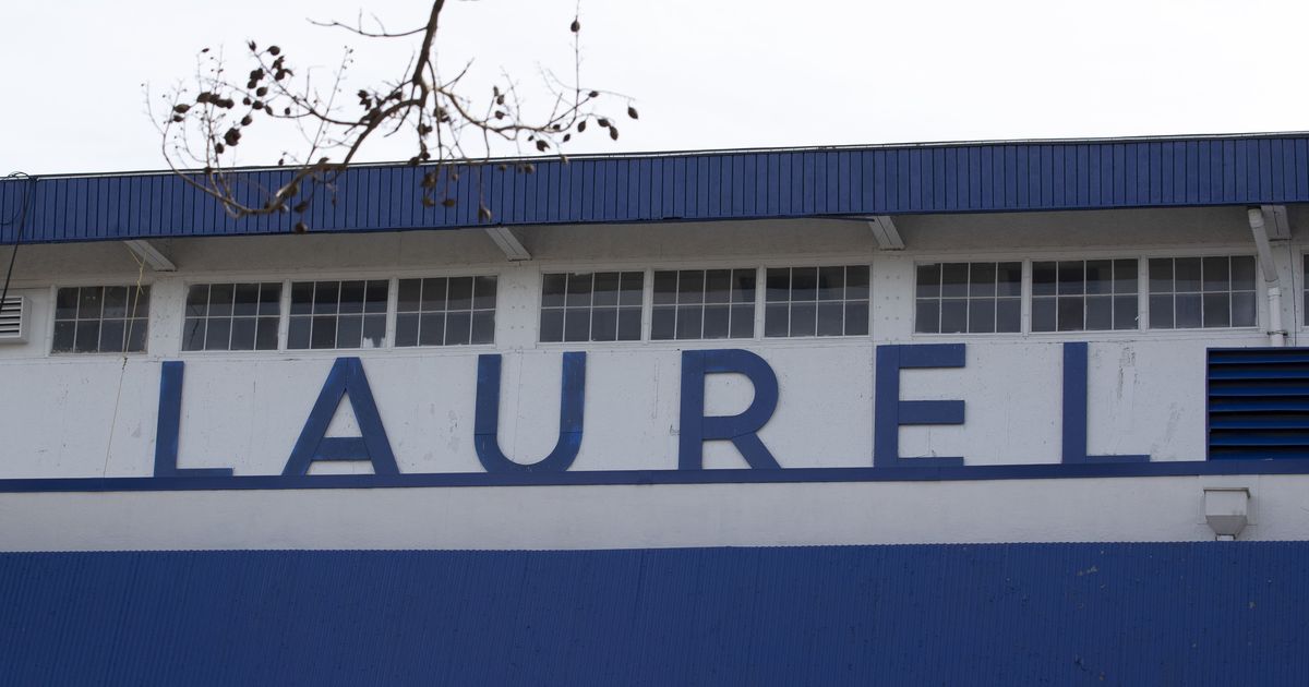 Laurel Entries And Results