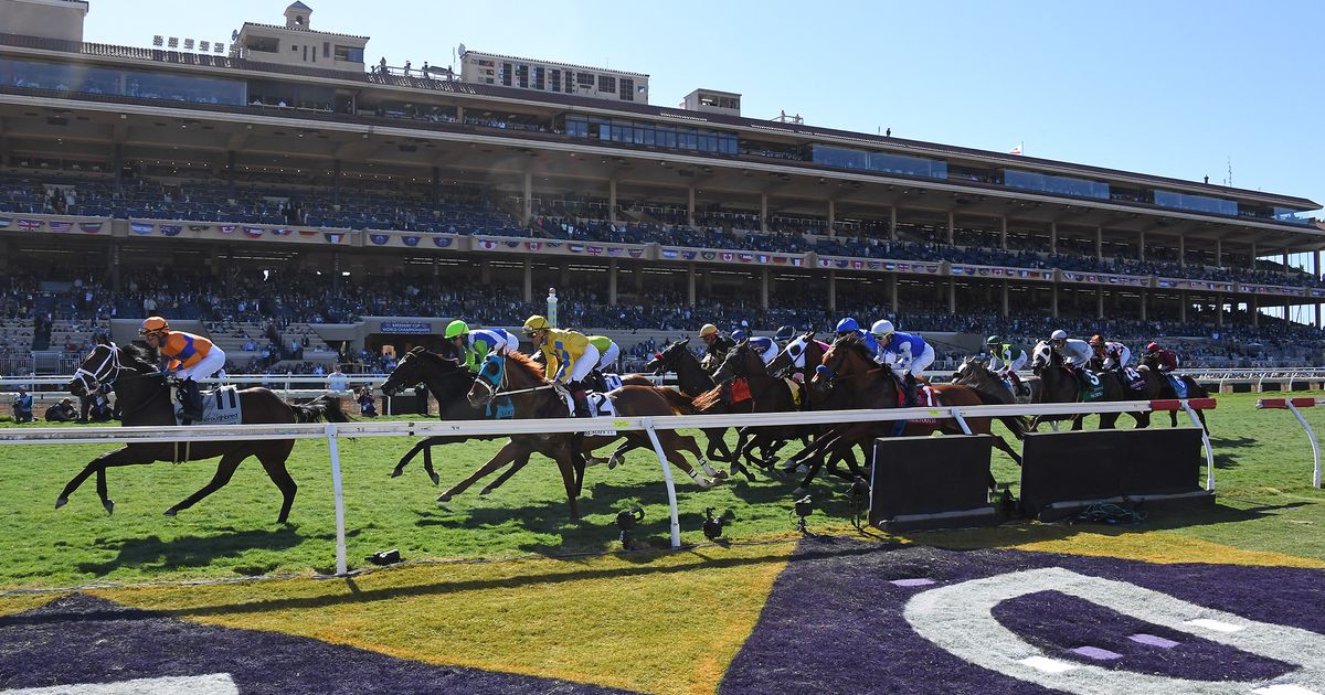 Total handle down for third straight year; per-race wagering also down
