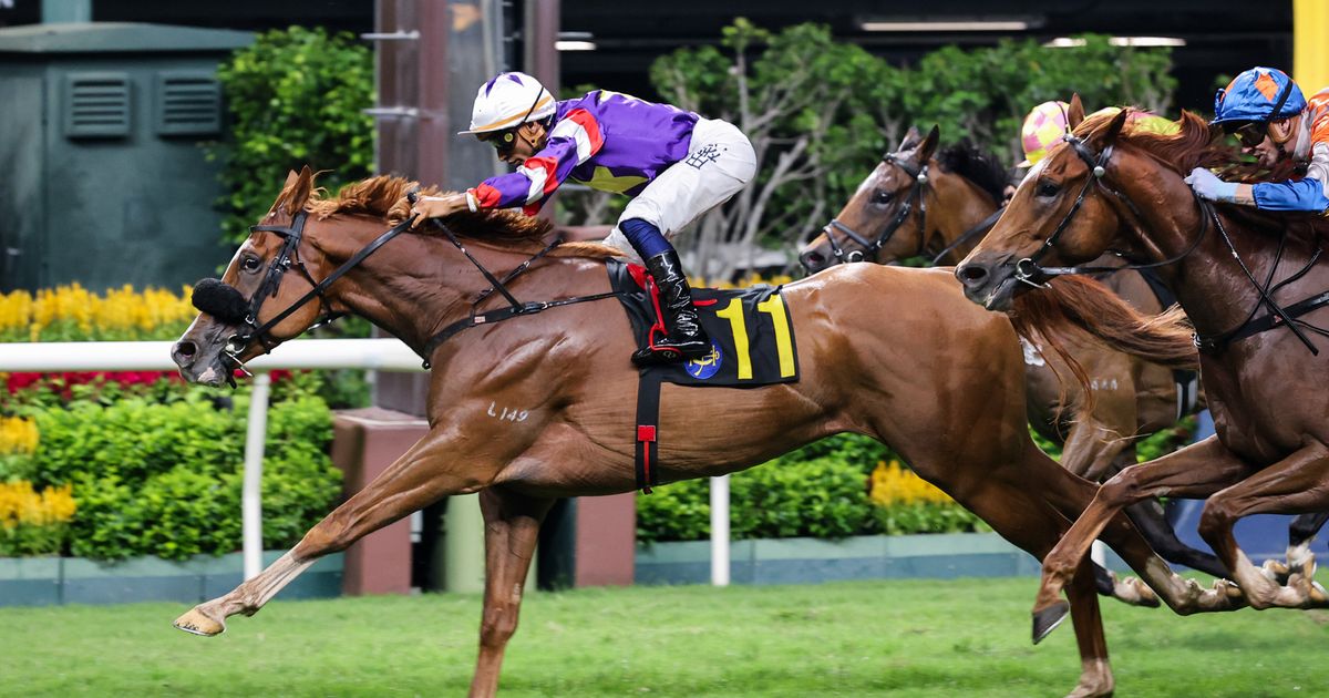 Violet Star goes for another Valley victory; Romantic Warrior heads to ...