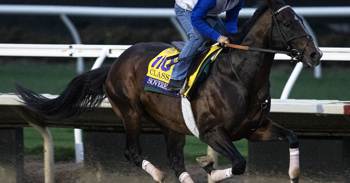 Mott says Sovereignty looks good day after runner-up finish in Oaklawn ...