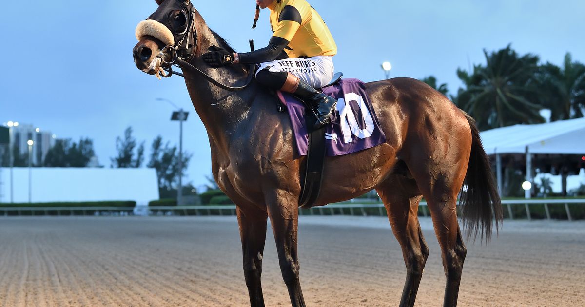 Cugino makes 4-year-old debut against stakes-caliber field
