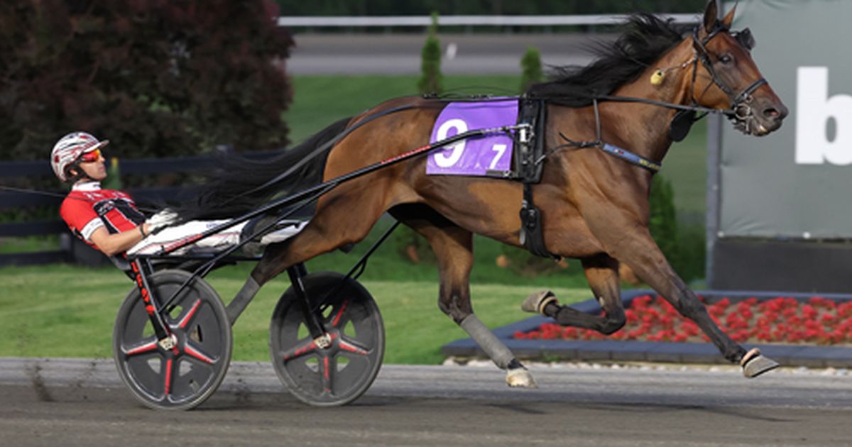 Woodbine Mohawk Park: Bourbonista S soars in Armbro Flight Stakes final